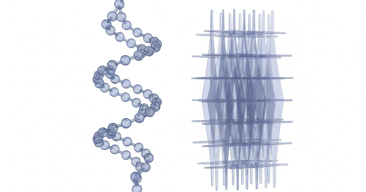 Peptide Backbone Structure: What N–Cα–C Stands For (Protein Backbone E ...